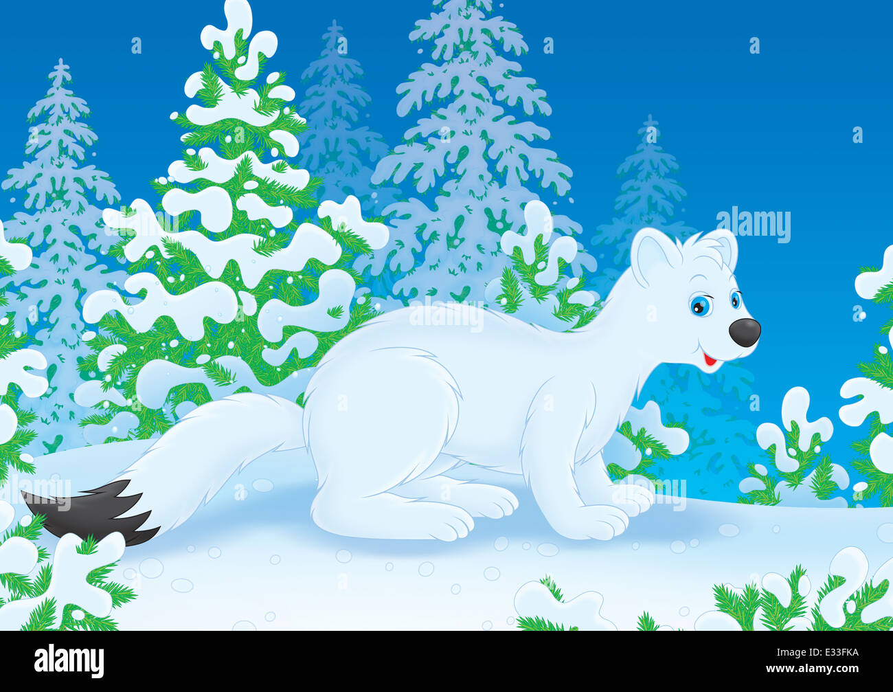 Fur ermine hi-res stock photography and images - Alamy