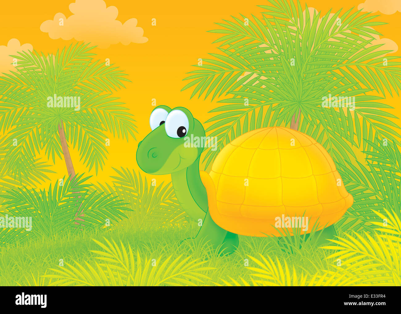 Tortoise shell art hi-res stock photography and images - Alamy