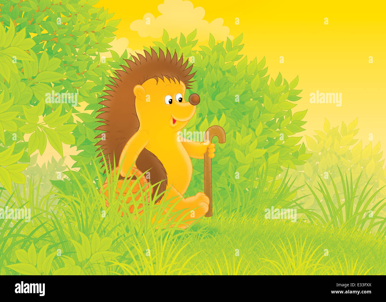 Hedgehog mushroom drawing hi-res stock photography and images - Alamy