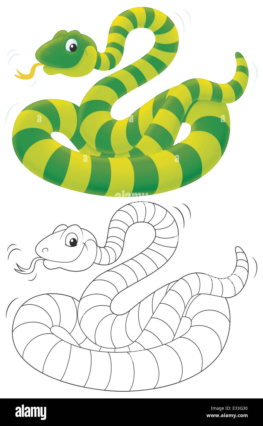 Snake coils hi-res stock photography and images - Alamy