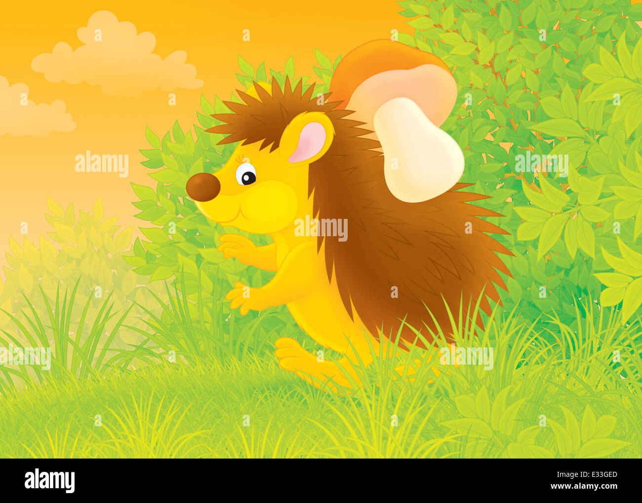 Hedgehog mushroom drawing hi-res stock photography and images - Alamy