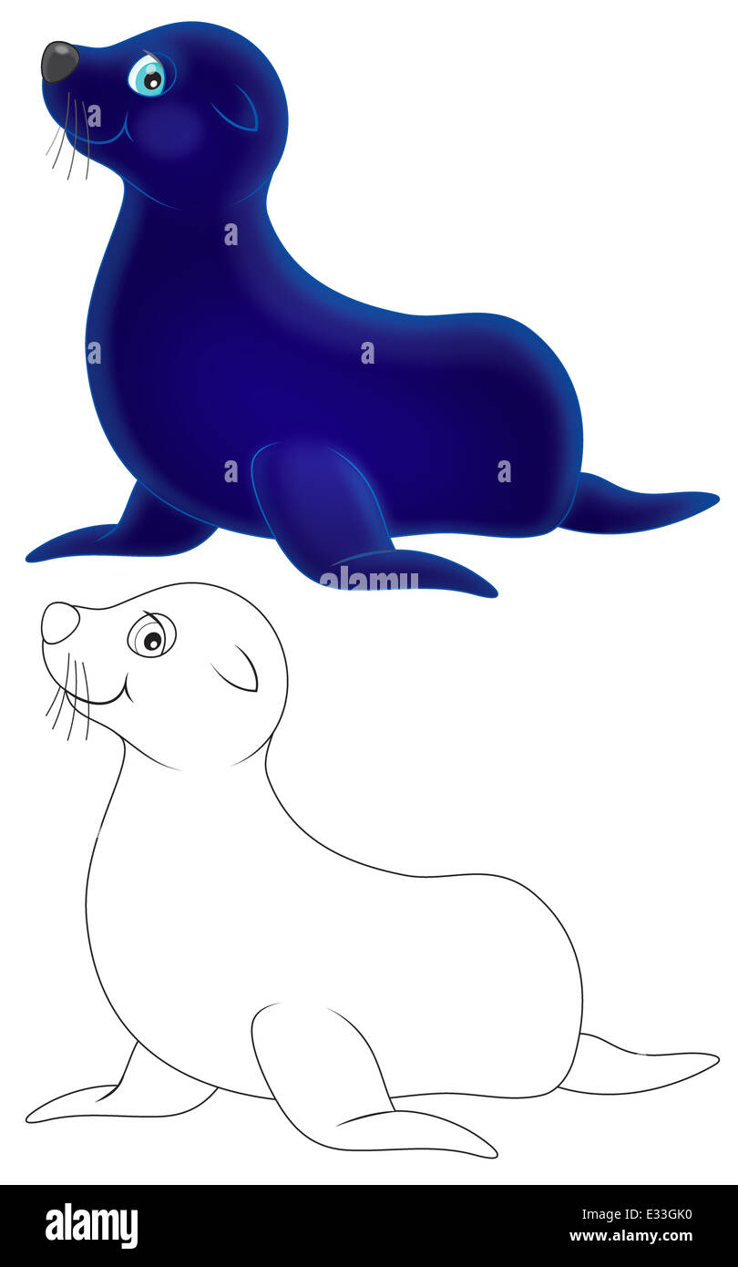 Fin footed mammals Cut Out Stock Images & Pictures - Alamy