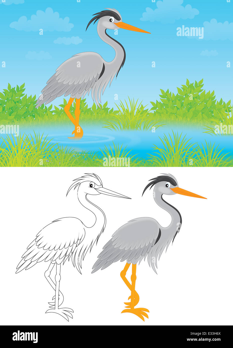 Heron cartoon hi-res stock photography and images - Alamy
