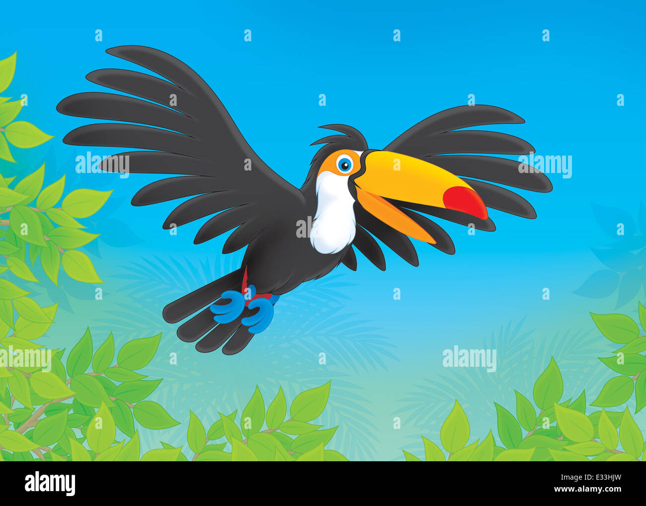 Tukan hi-res stock photography and images - Alamy