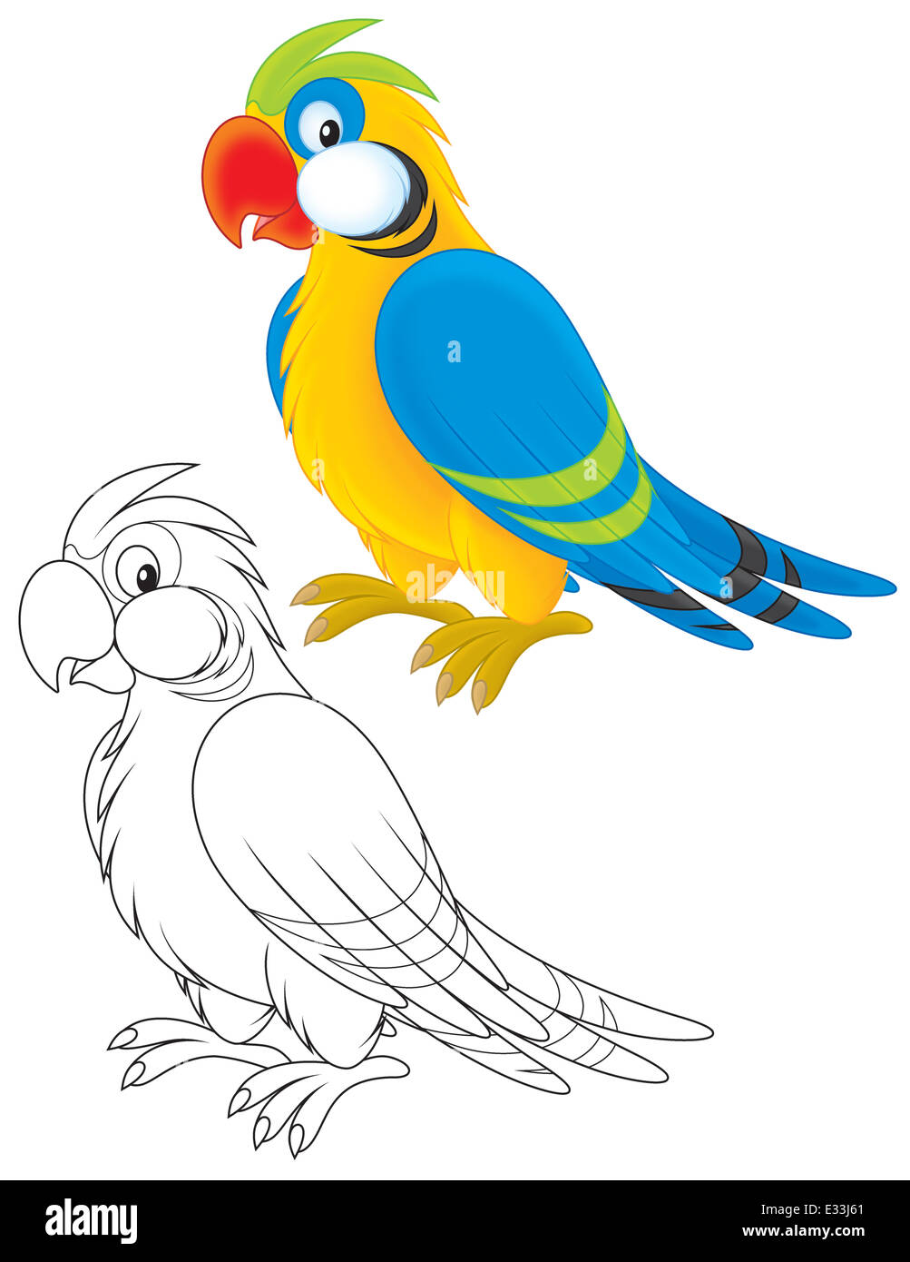 Parrot clipart black and white hi-res stock photography and images - Alamy