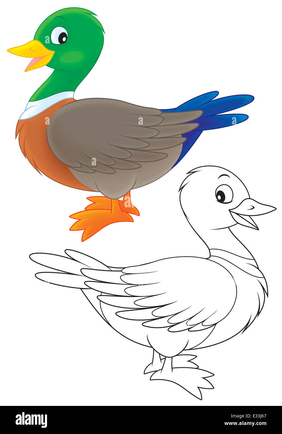 Outlined duck hi-res stock photography and images - Alamy