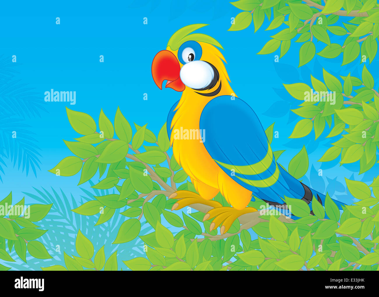 Popinjay parrot hi-res stock photography and images - Alamy