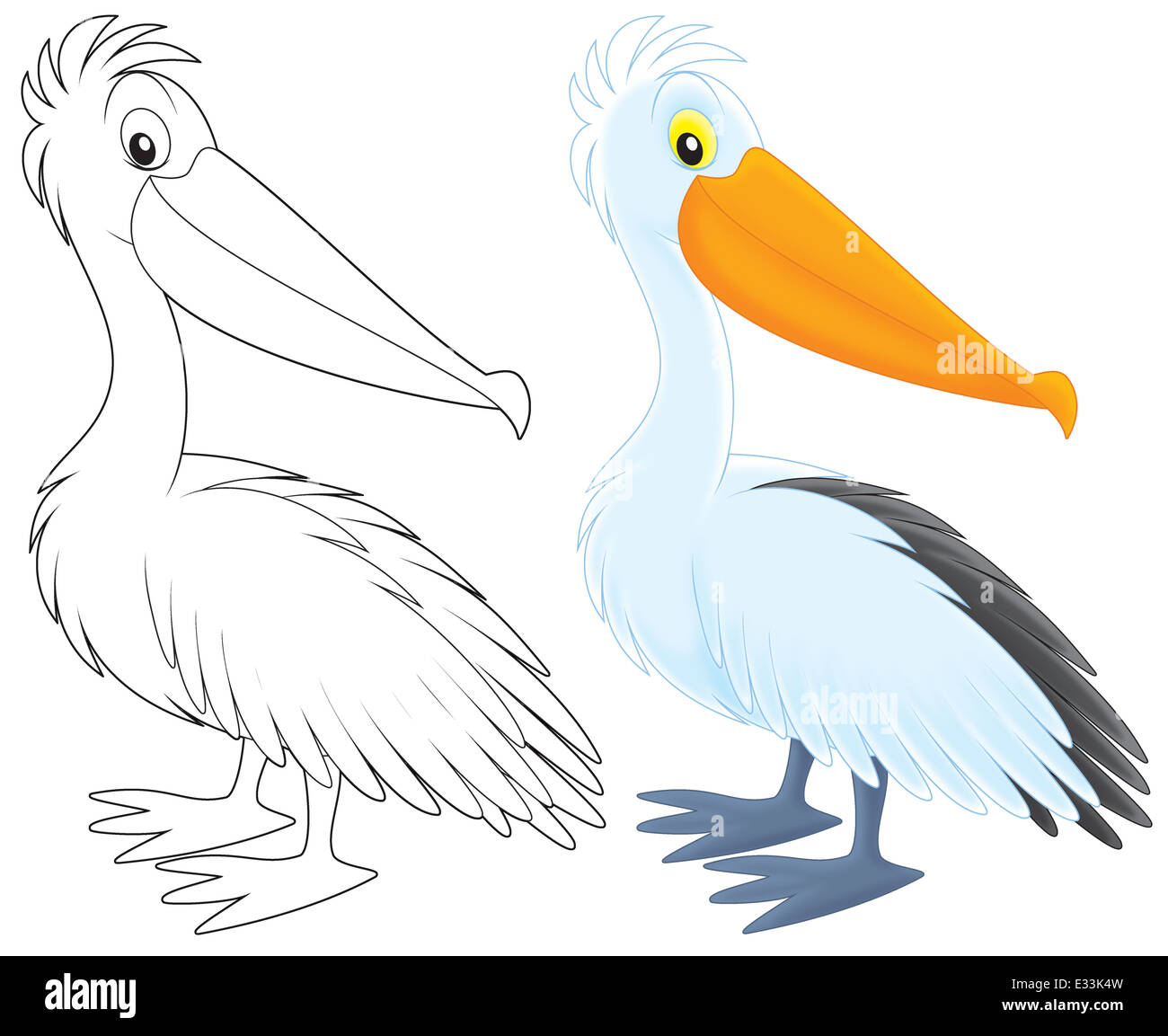 Pelican Cartoon Stock Photos & Pelican Cartoon Stock Images - Alamy