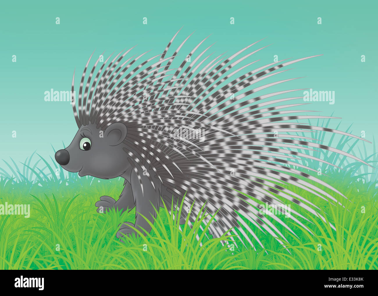 Porcupine cartoon hi-res stock photography and images - Alamy