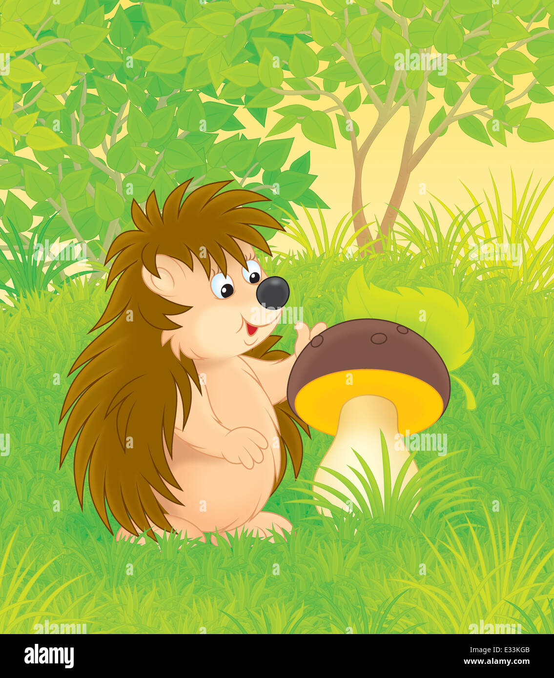 Hedgehog mushroom drawing hi-res stock photography and images - Alamy