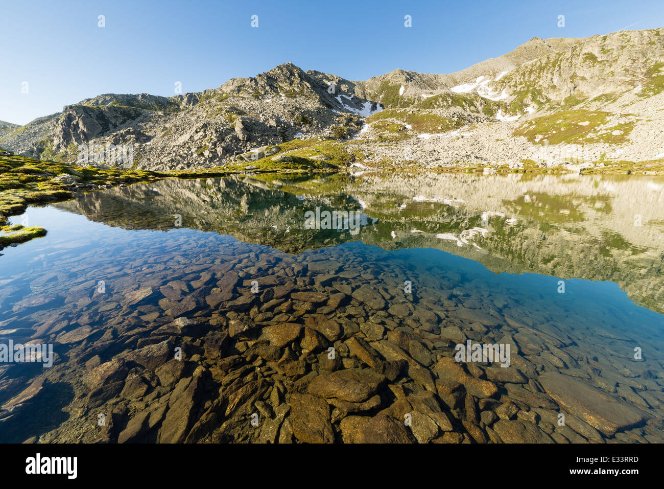 Pond transparent hi-res stock photography and images - Alamy