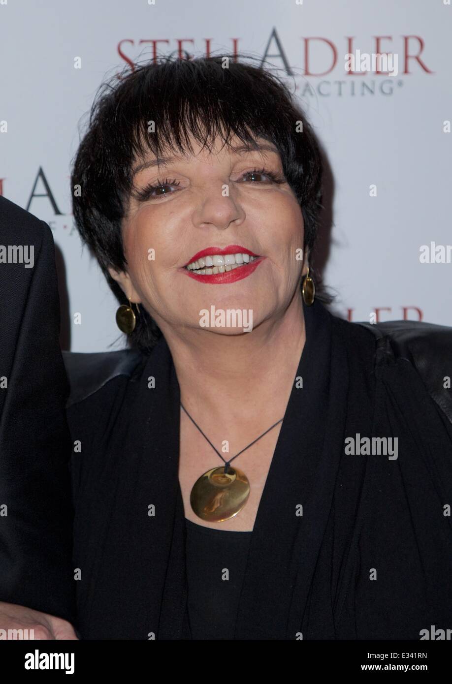 Eighth Annual Stella by Starlight Benefit Gala held at Espace Featuring ...