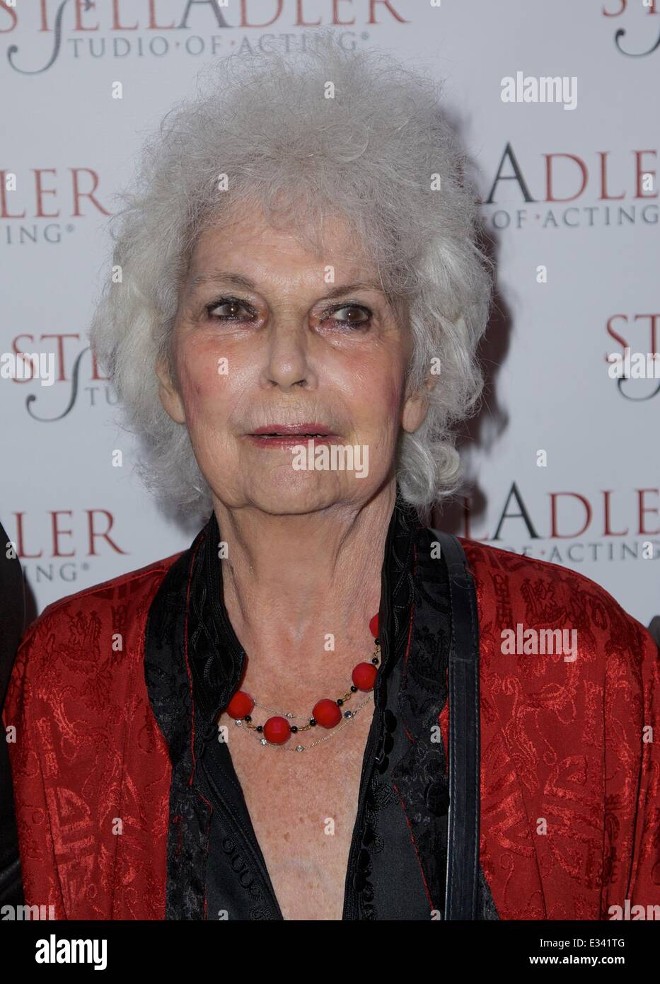 Eighth Annual Stella by Starlight Benefit Gala held at Espace Featuring ...