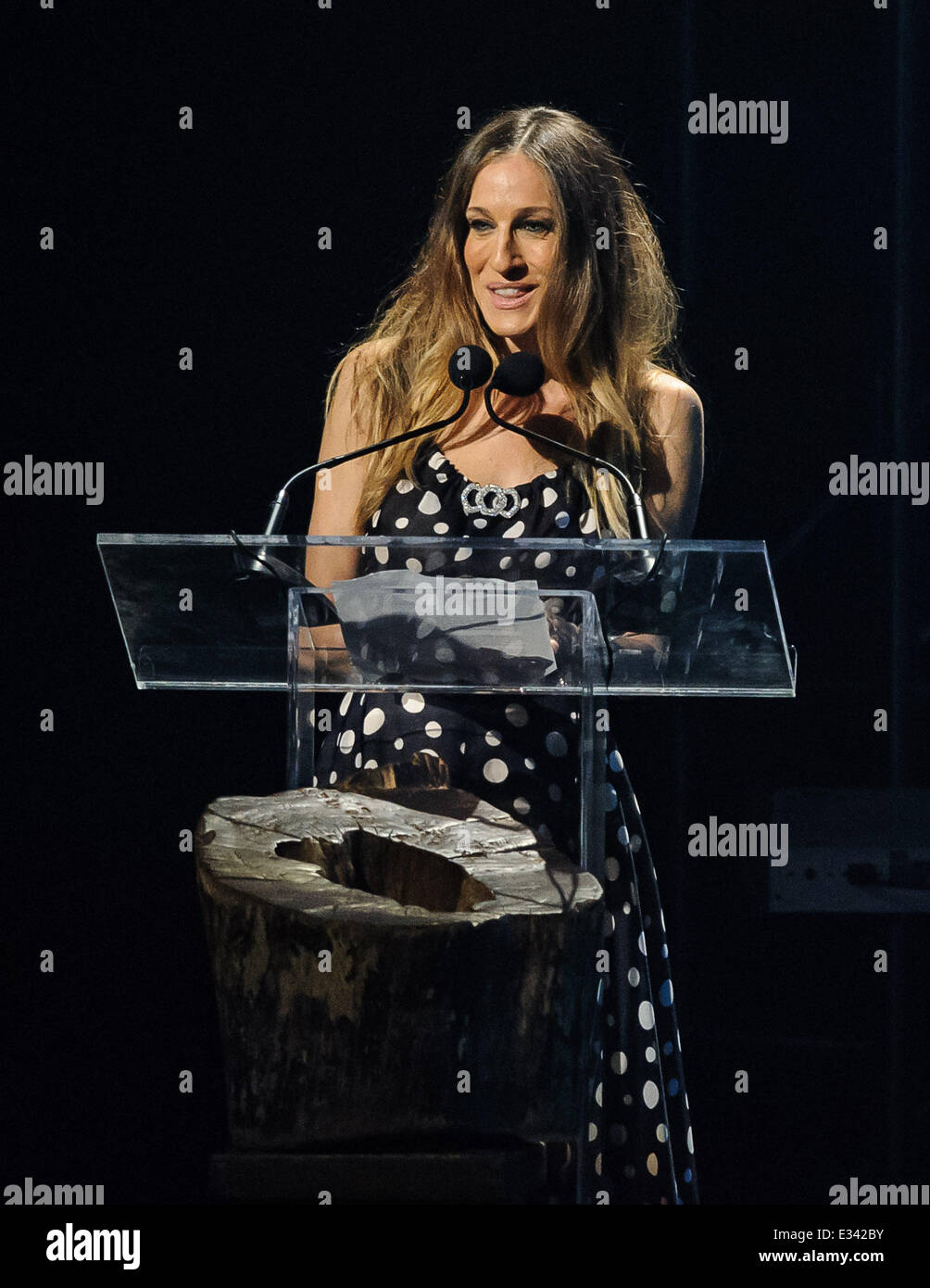 The 2013 Apollo Spring Gala at The Apollo Theater Featuring: Sarah ...