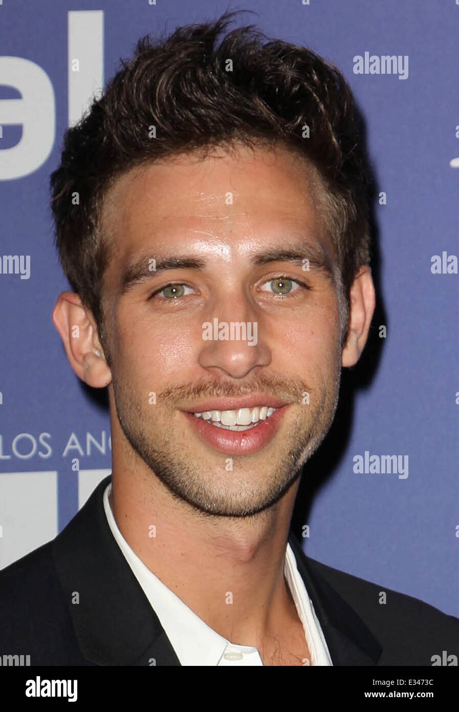 Women In Film's 2013 Crystal + Lucy Awards at The Beverly Hilton Hotel ...