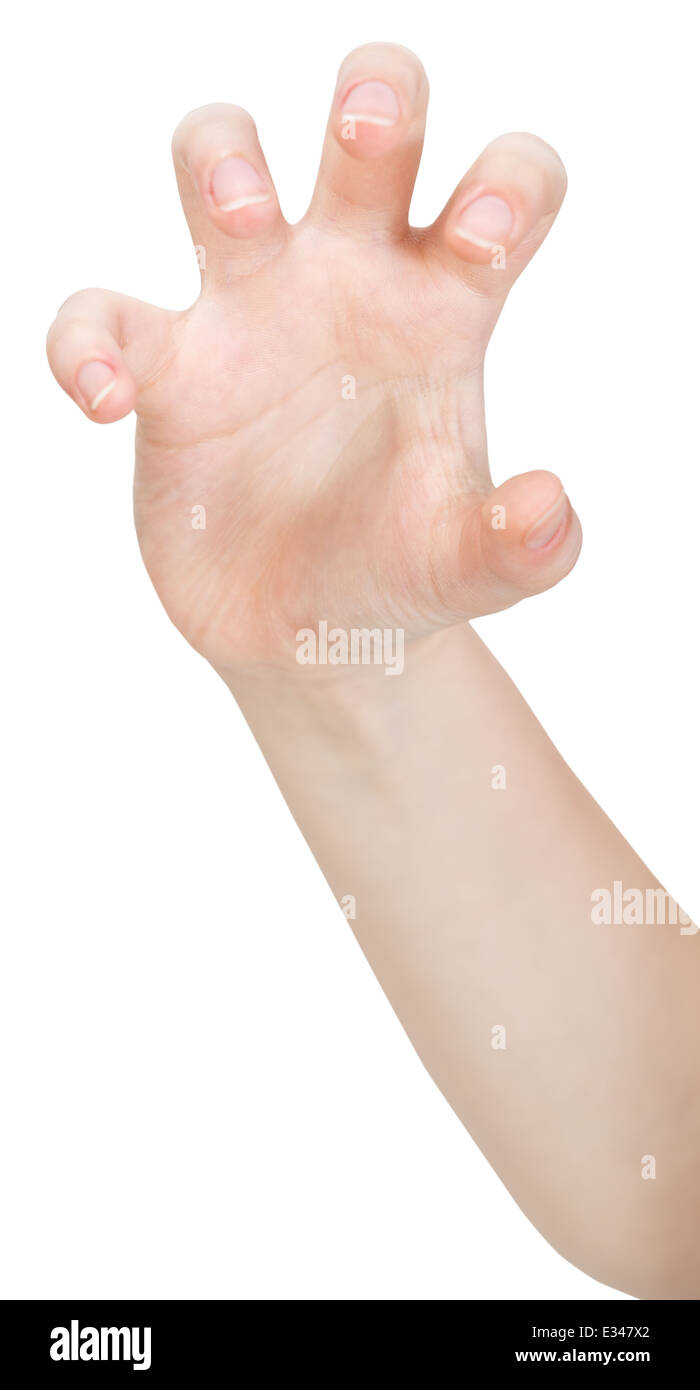 Tiger claws close up hi-res stock photography and images - Alamy