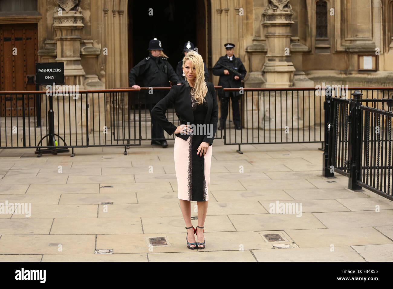 Sarah Harding addresses the House of Commons on behalf of the charity ...