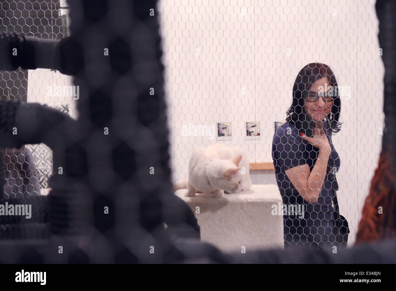 Cats take over the NYC art world! White Columns is proud to present ...