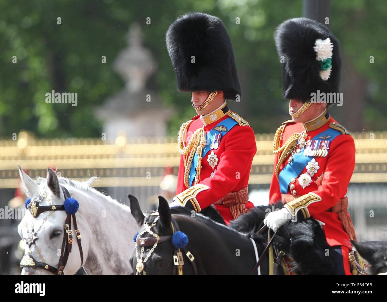 Trooping the Colour 2013 - The Queen's Birthday Parade - Horse Guards ...