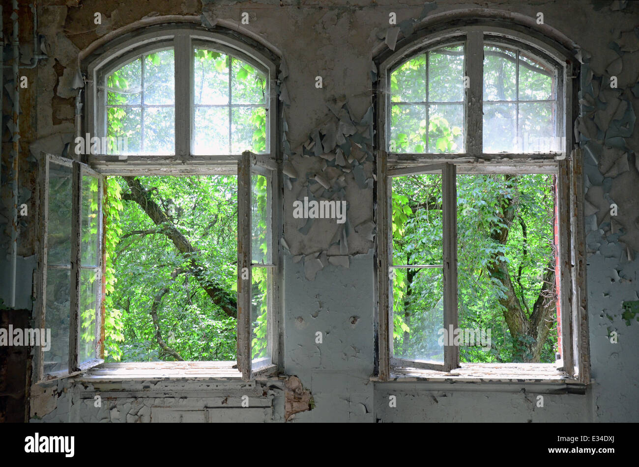 nature in front of an open window Stock Photo - Alamy