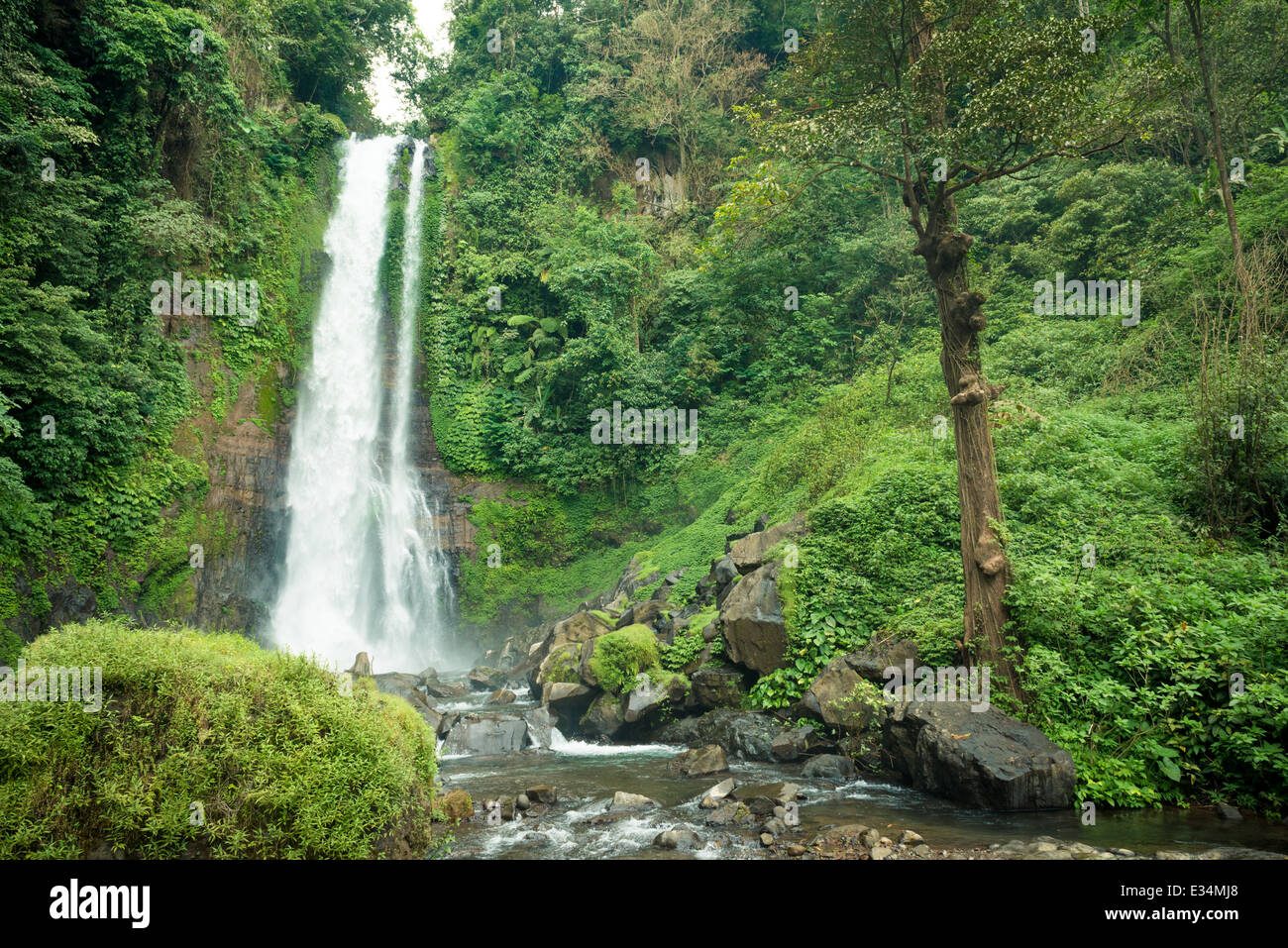 Beautiful tall waterfall deep in Bali jungle Stock Photo - Alamy