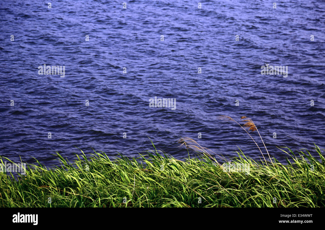 Reed bank hi-res stock photography and images - Alamy