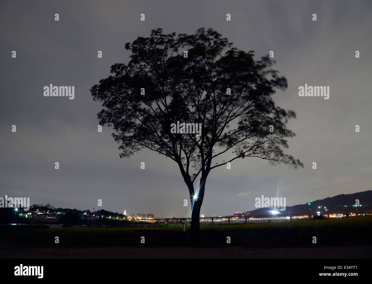 Spring windy hi-res stock photography and images - Alamy