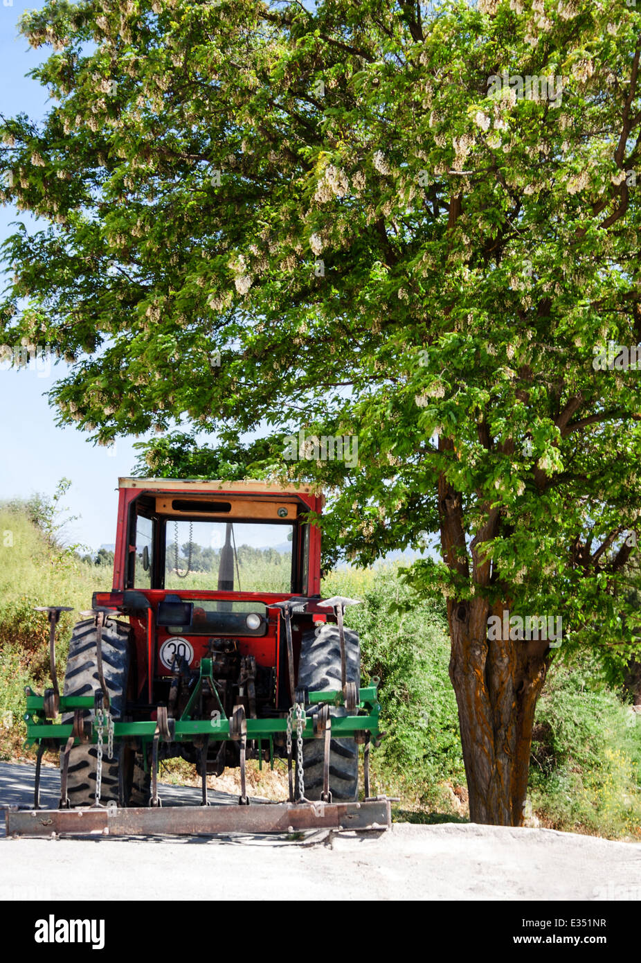 A red tractor under a large tree Stock Photo - Alamy