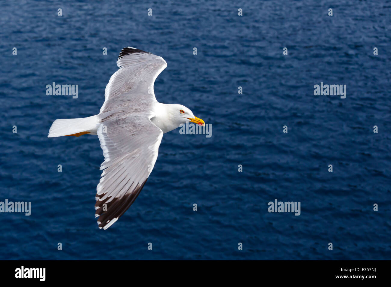Blue sea background hi-res stock photography and images - Alamy