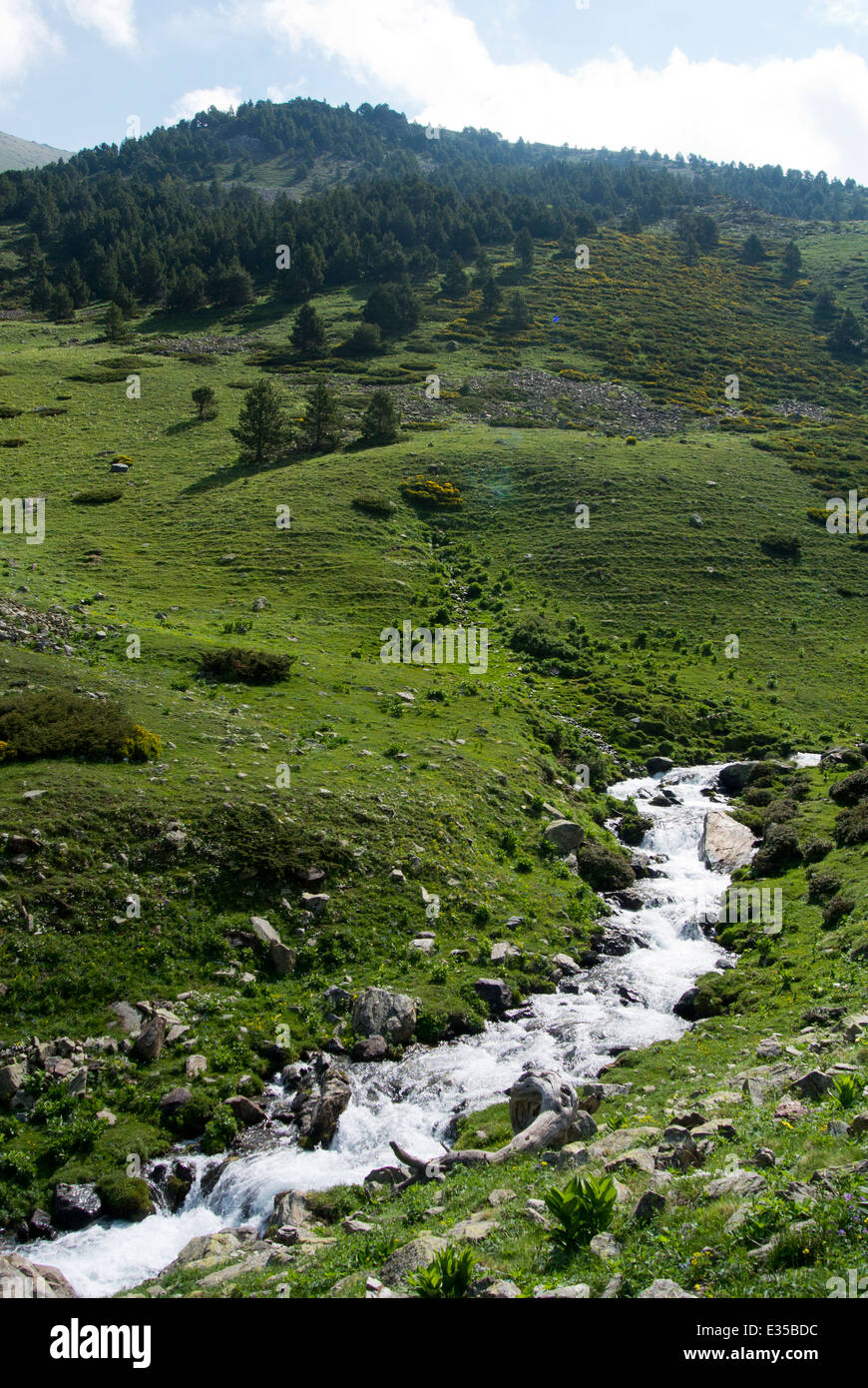 River in Eyne France Stock Photo - Alamy