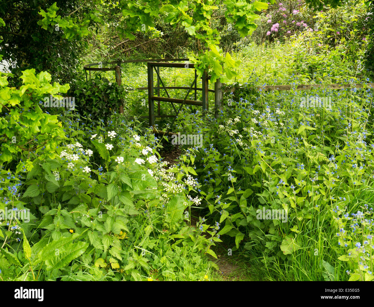 Kissing gate hi-res stock photography and images - Alamy