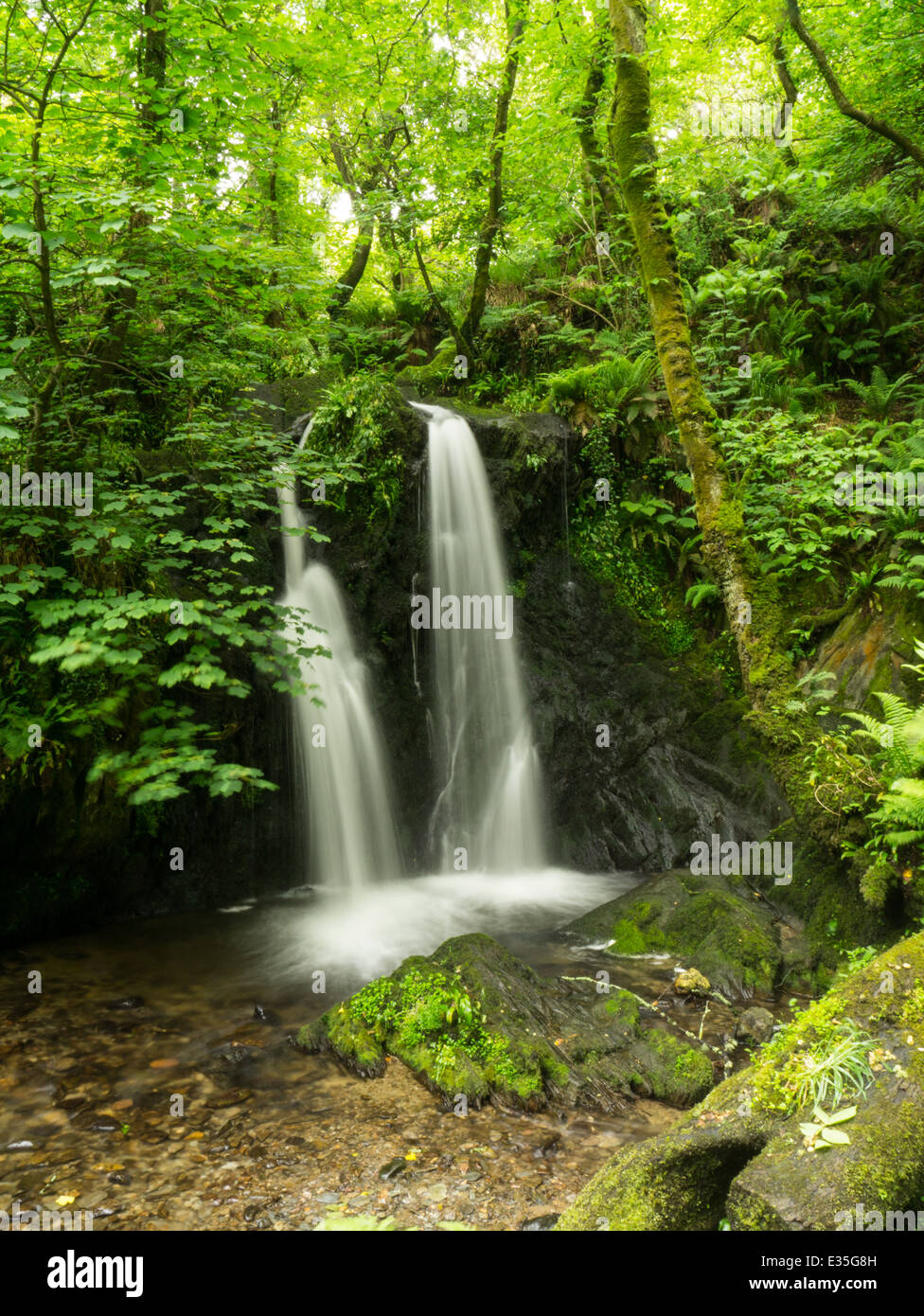 waterfall in Aberfforest, Pembrokeshire, Wales Stock Photo - Alamy