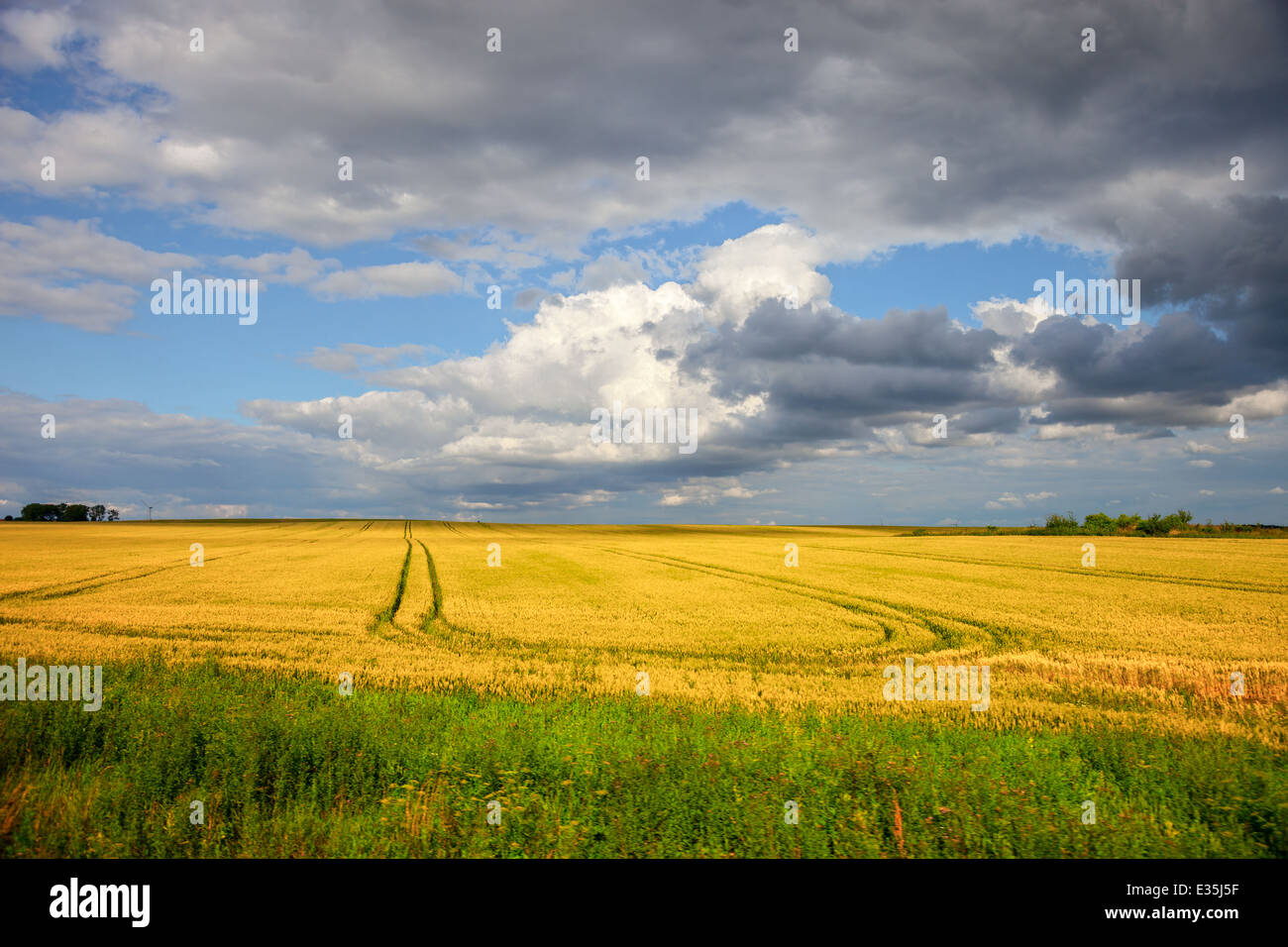 Rural summer landscape in countryside of Poland Stock Photo - Alamy
