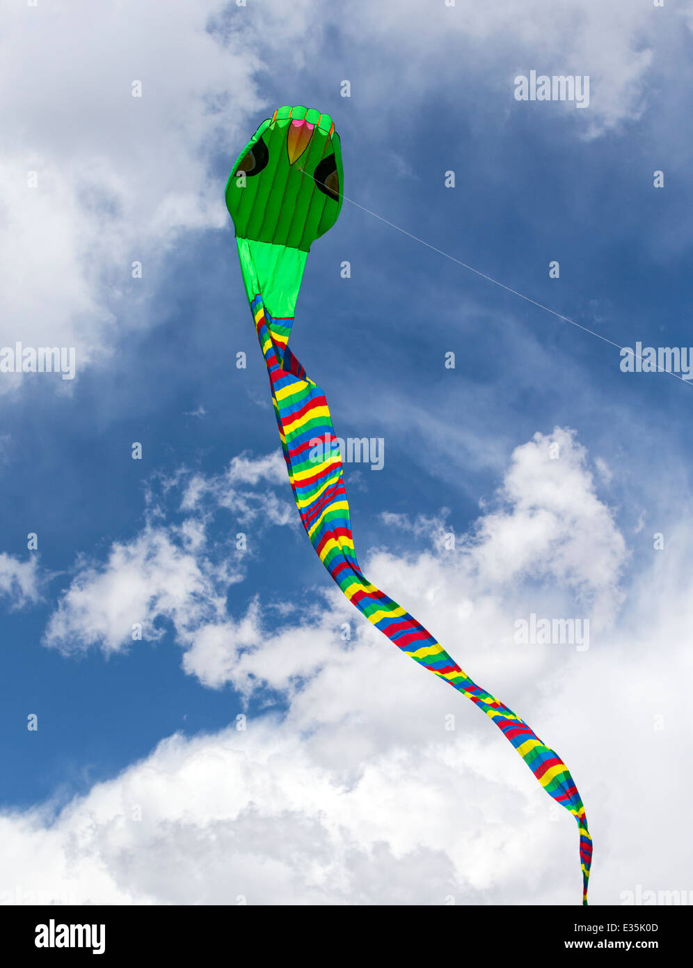 Flying Snake Reptile High Resolution Stock Photography and Images - Alamy