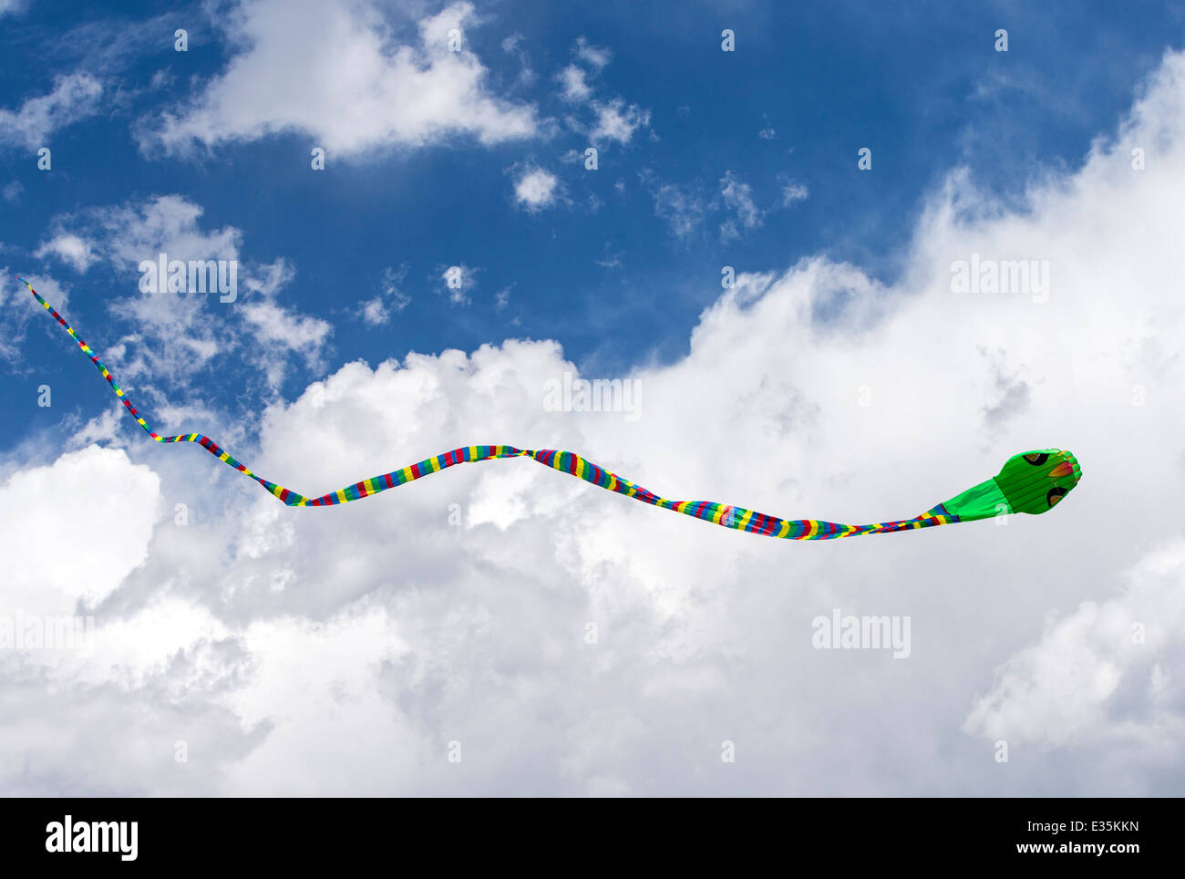 Serpent snake shaped kite against a Colorado sky Stock Photo - Alamy
