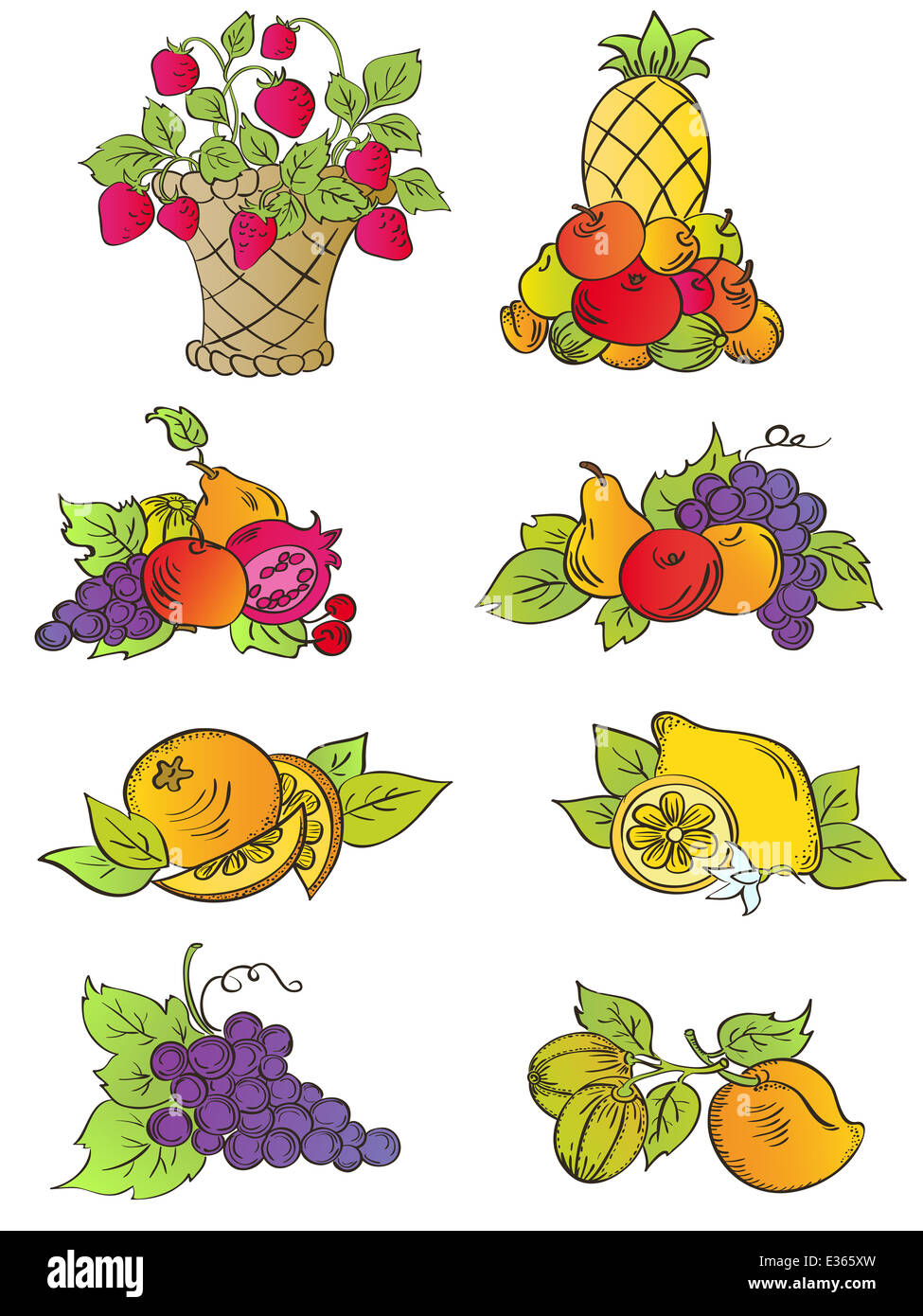 vintage fruits set Stock Photo - Alamy