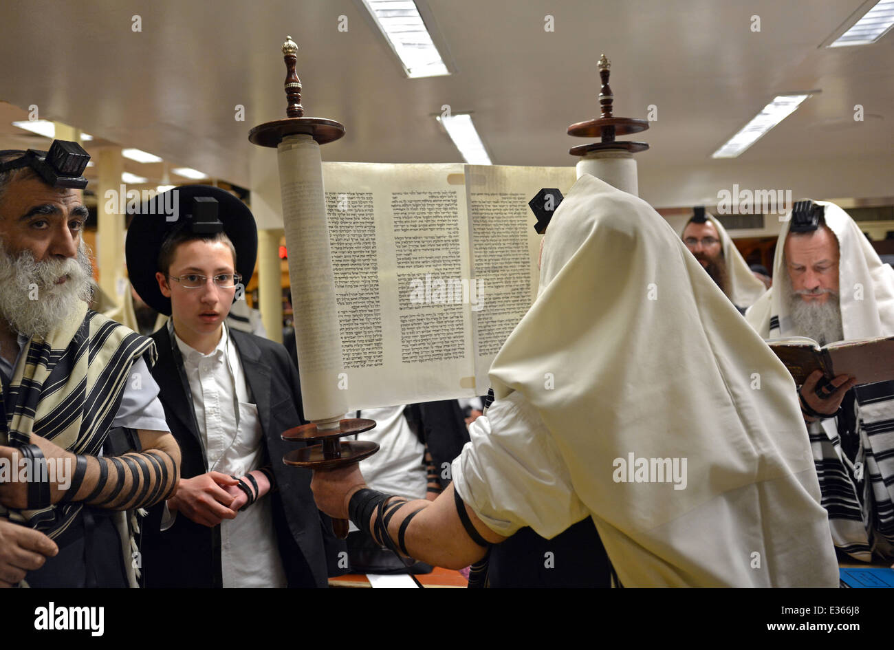 Torah scroll raised after a reading at morning services at a synagogue ...