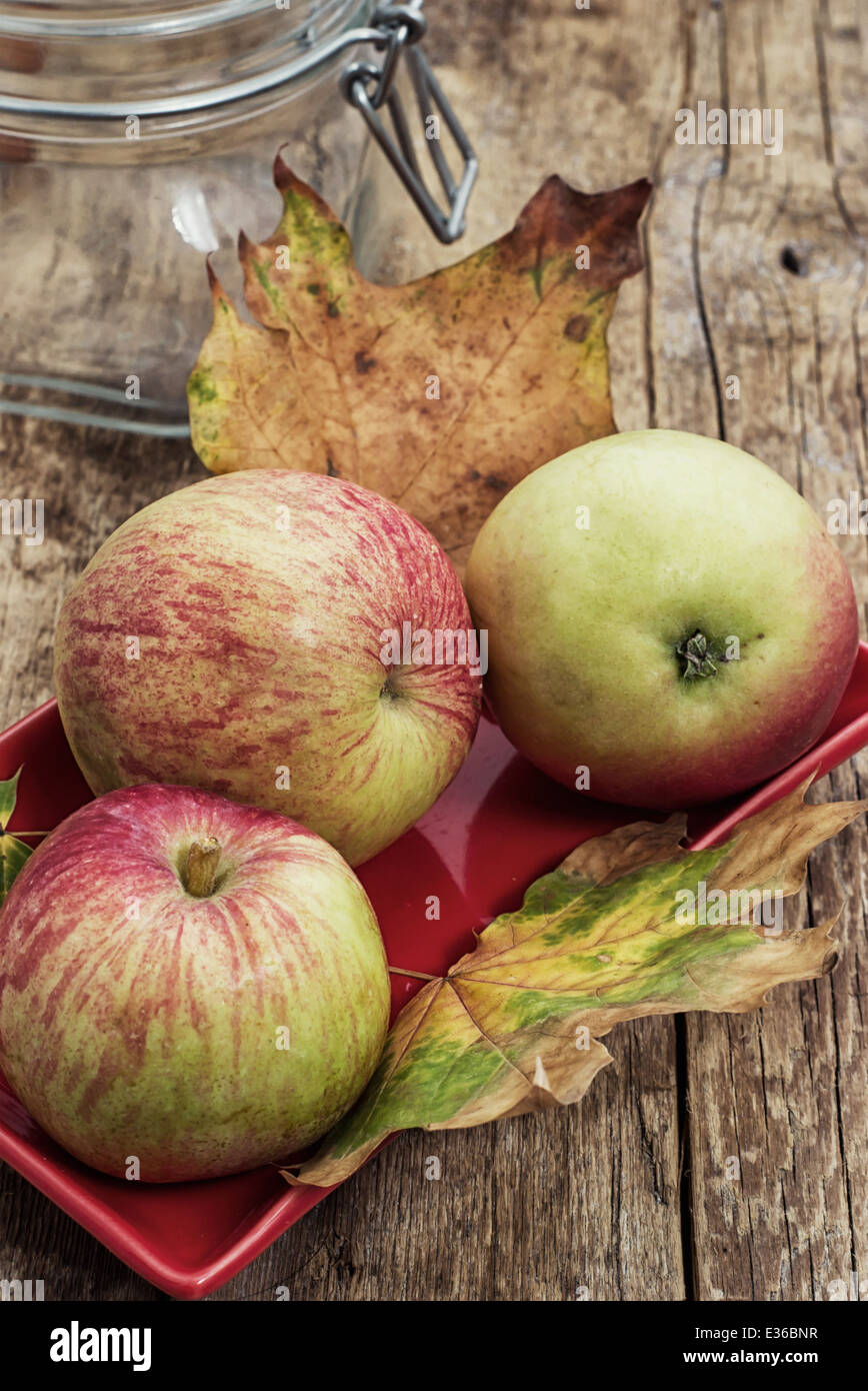 apple juicy,fresh from the new harvest Stock Photo - Alamy