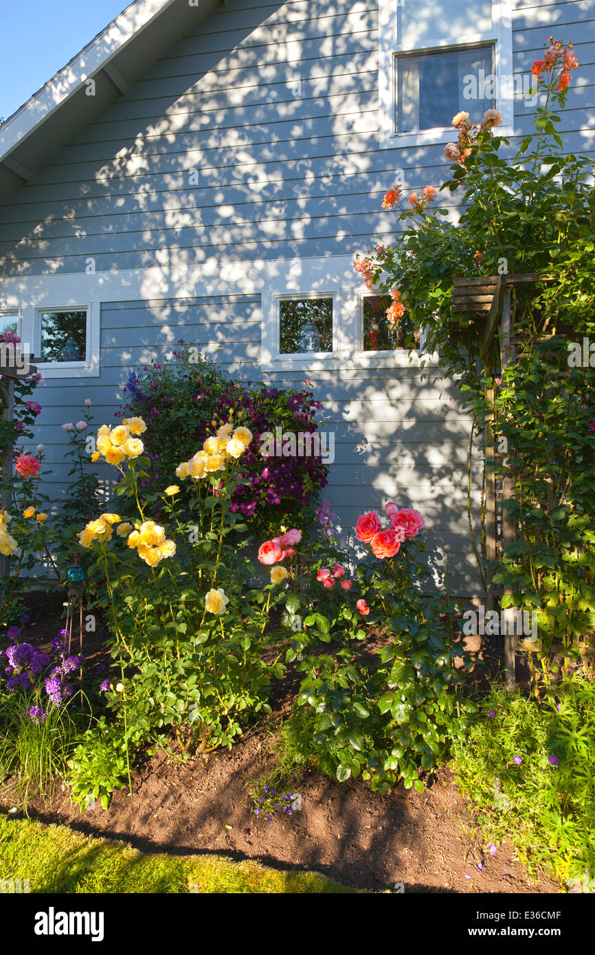Backyard garden with colorful flowers and plants Stock Photo - Alamy