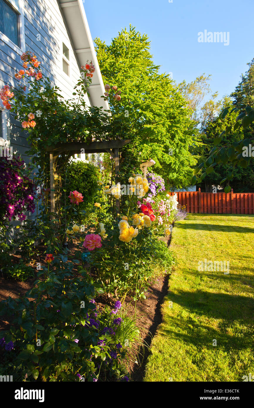 Backyard garden with colorful flowers and plants Stock Photo - Alamy