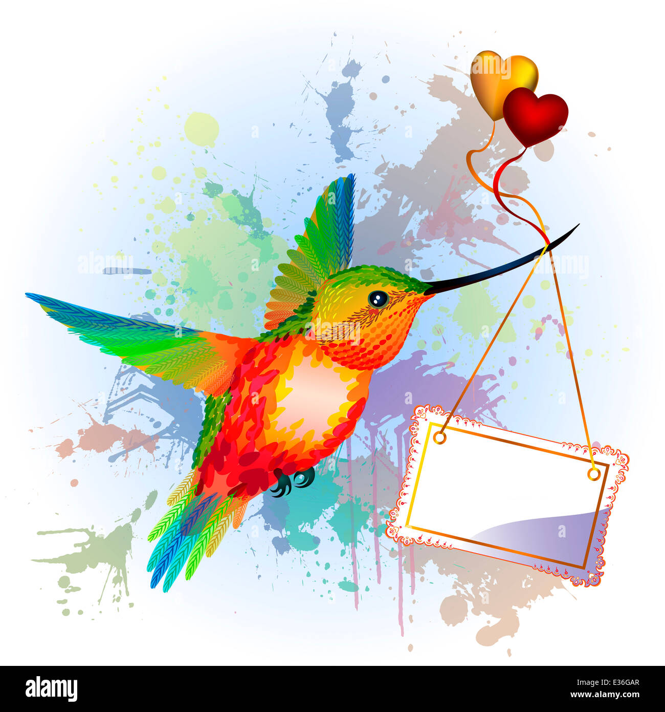 Rainbow hummingbird hi-res stock photography and images - Alamy
