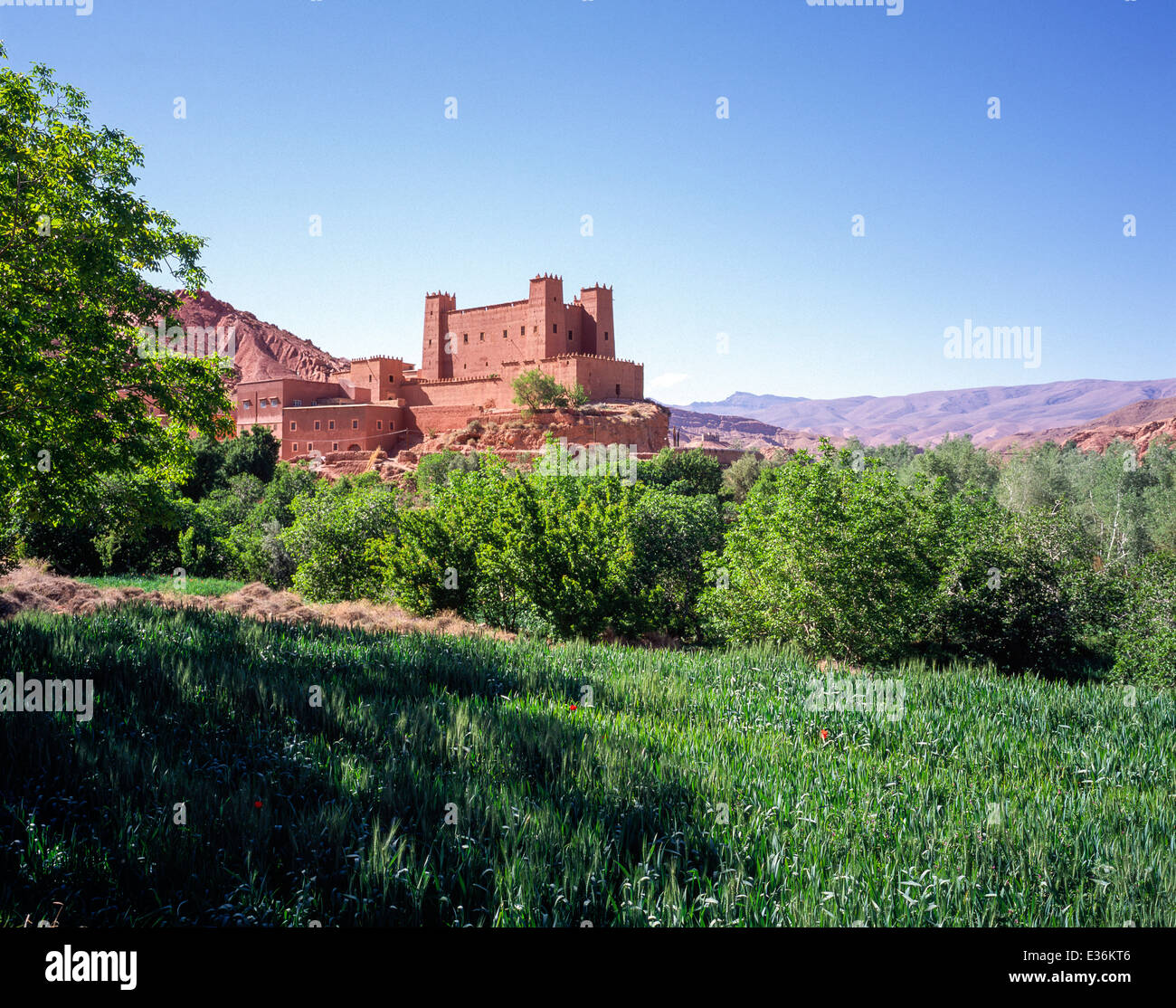 Youl hi-res stock photography and images - Alamy