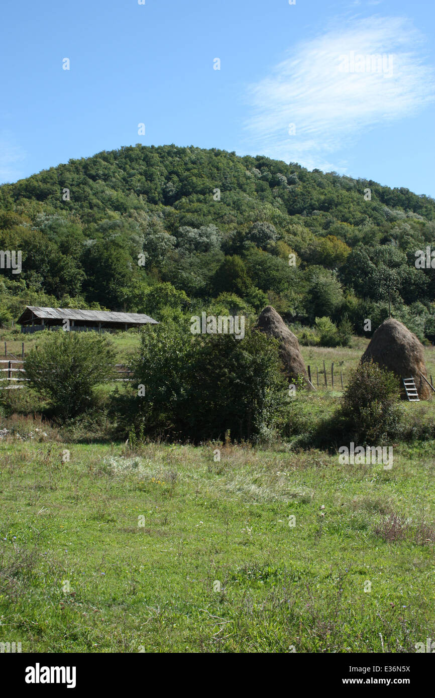 Old sheepfold hi-res stock photography and images - Alamy