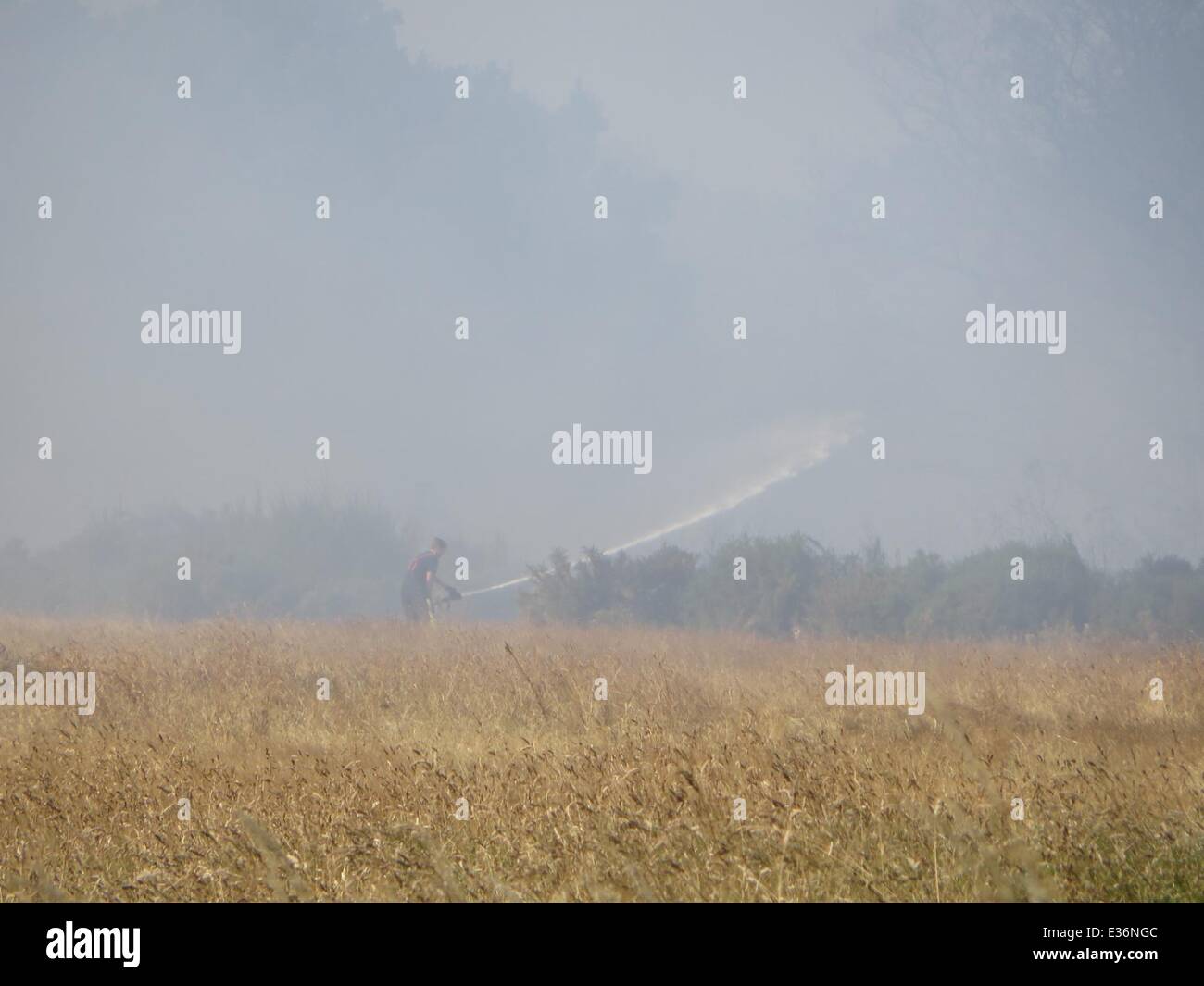 Forest fire in Wanstead flats close to Whipps cross hospital and ...