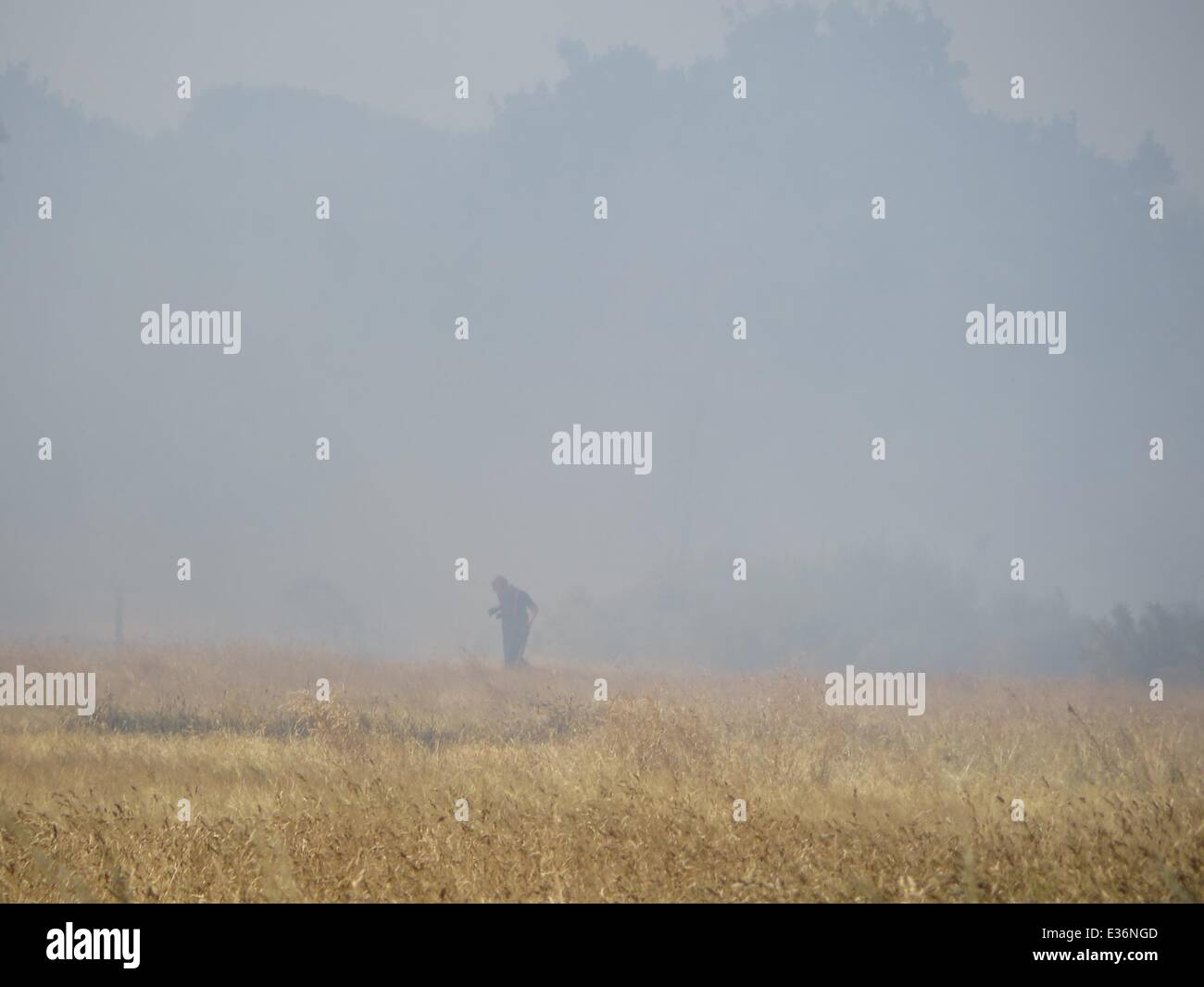 Forest fire in Wanstead flats close to Whipps cross hospital and ...