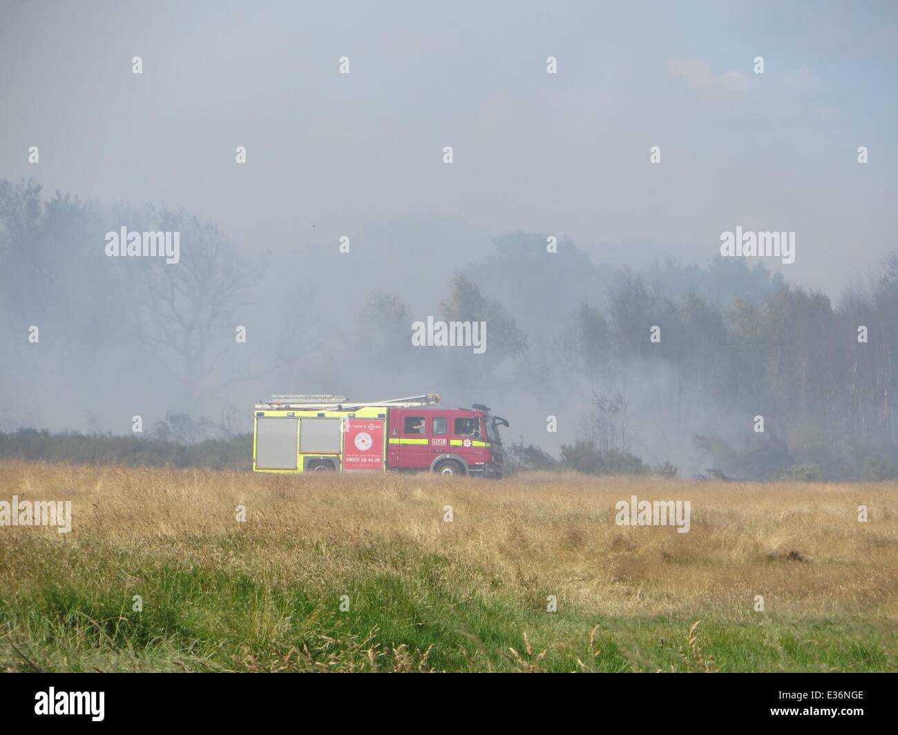 Forest fire in Wanstead flats close to Whipps cross hospital and ...