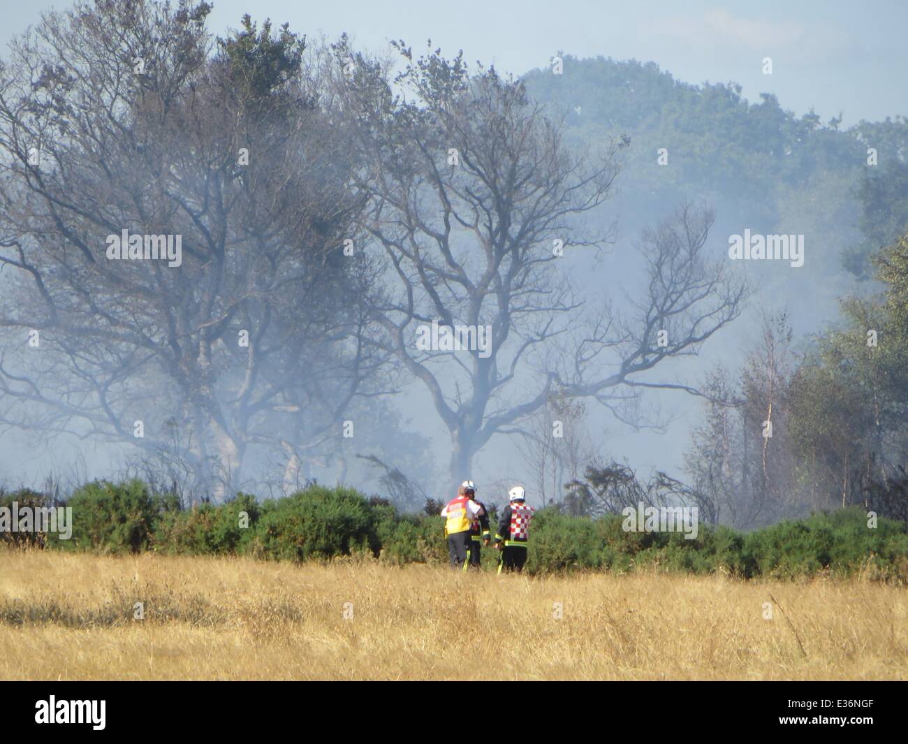 Forest fire in Wanstead flats close to Whipps cross hospital and ...
