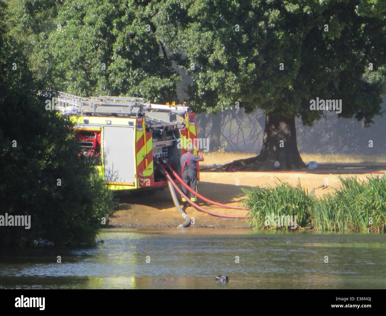 Forest fire in Wanstead flats close to Whipps cross hospital and ...