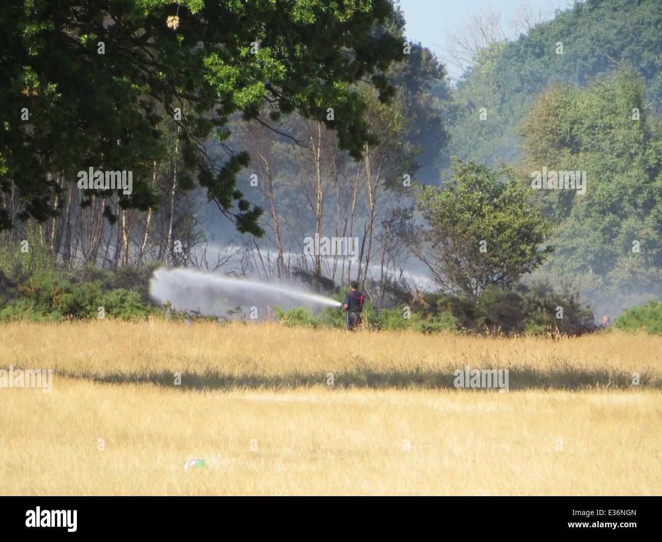 Forest fire in Wanstead flats close to Whipps cross hospital and ...