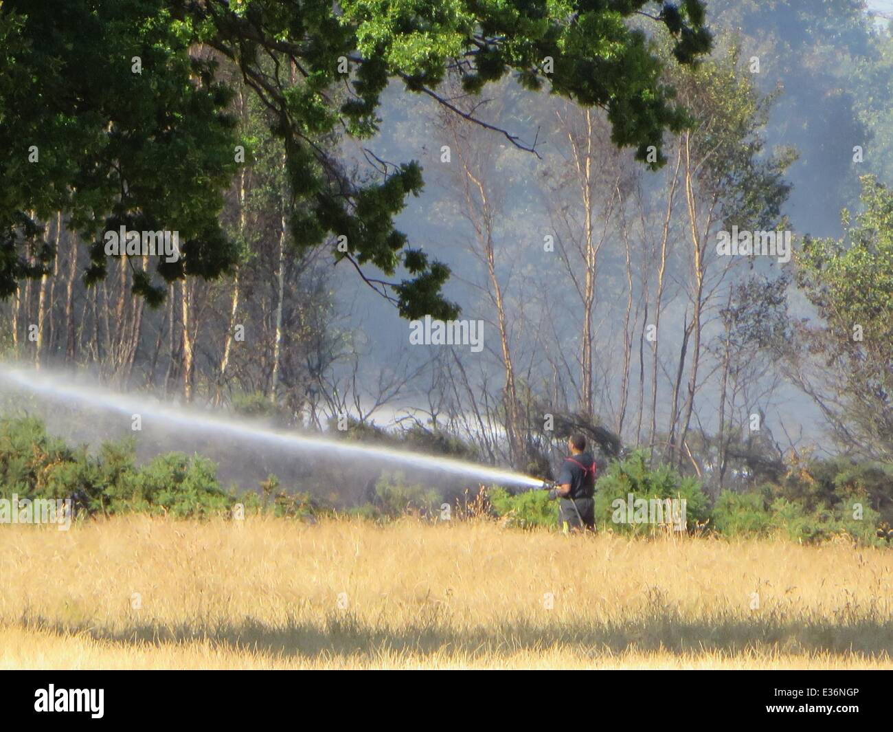 Forest fire in Wanstead flats close to Whipps cross hospital and ...